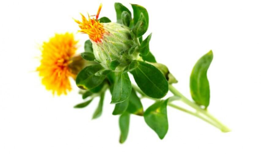 Bienfaits de l'huile de carthame pour le visage, la peau, les cheveux